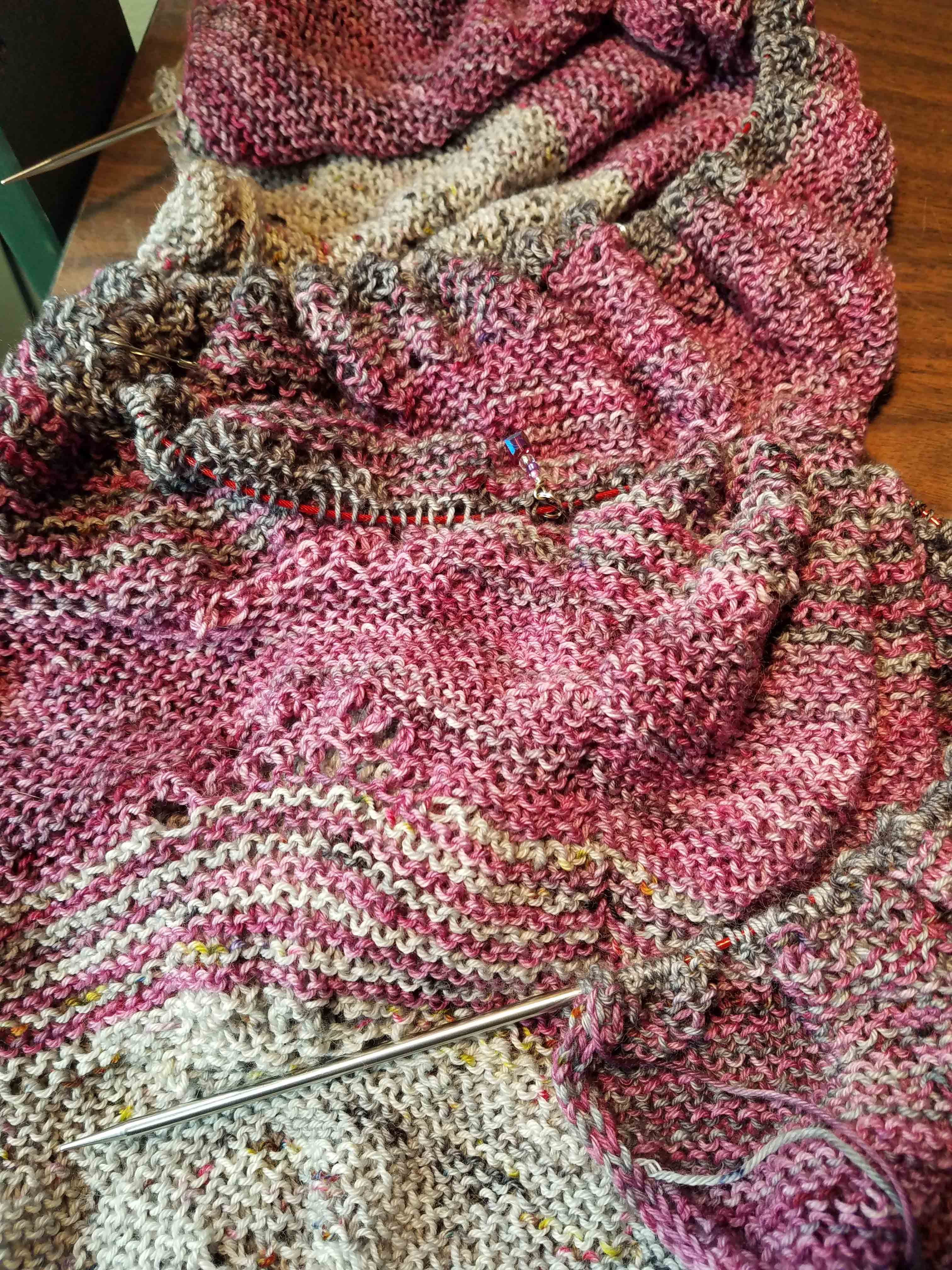 Orchids and Hot Mess Knitting – Yarn, Books & Roses