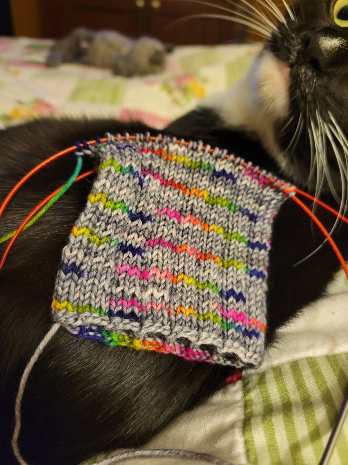 Assigned Pooling – Yarn, Books & Roses
