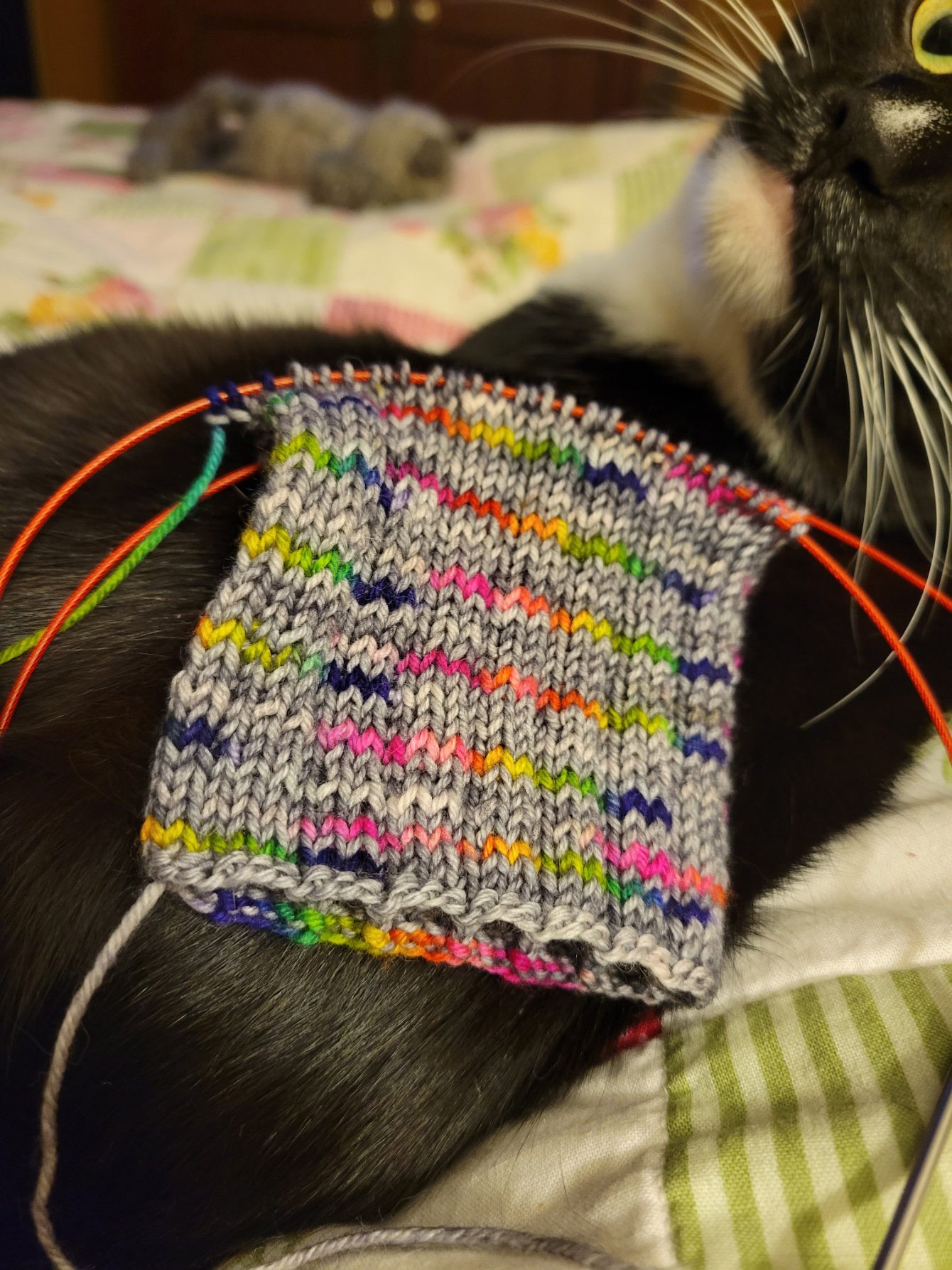 Assigned Pooling – Yarn, Books & Roses