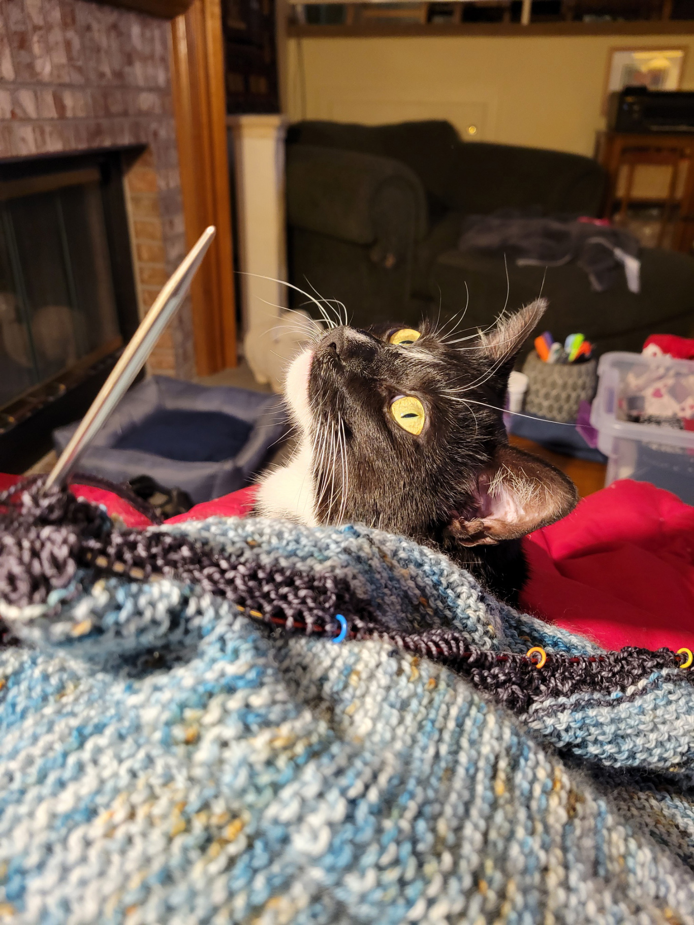 Assigned Pooling – Yarn, Books & Roses