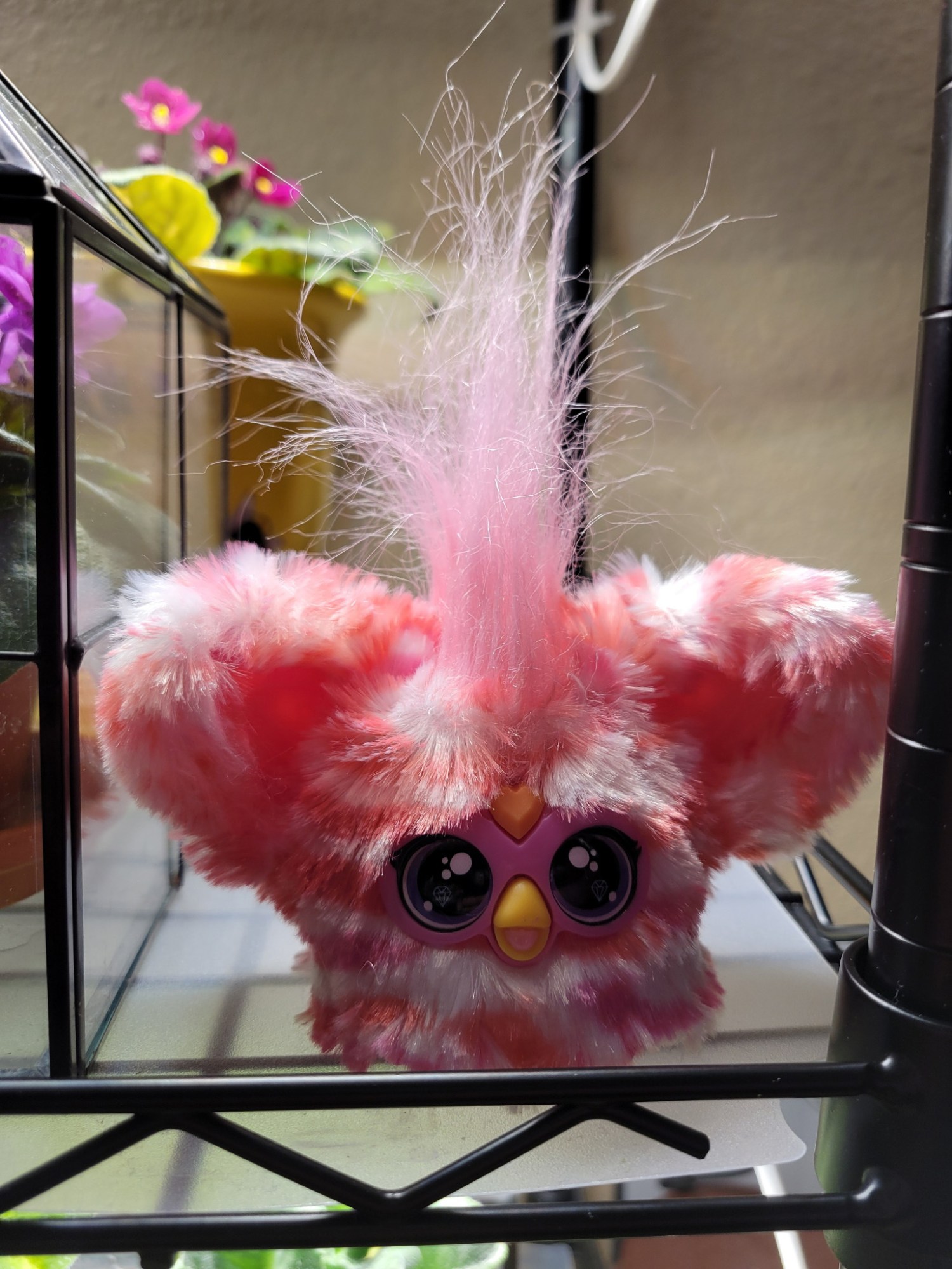 Knitting – Yarn, Books & Roses